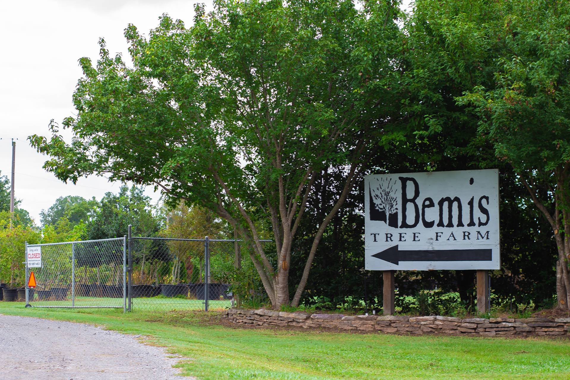 Trees & Shrubs for Sale in Little Rock, AR at Bemis Tree Farm