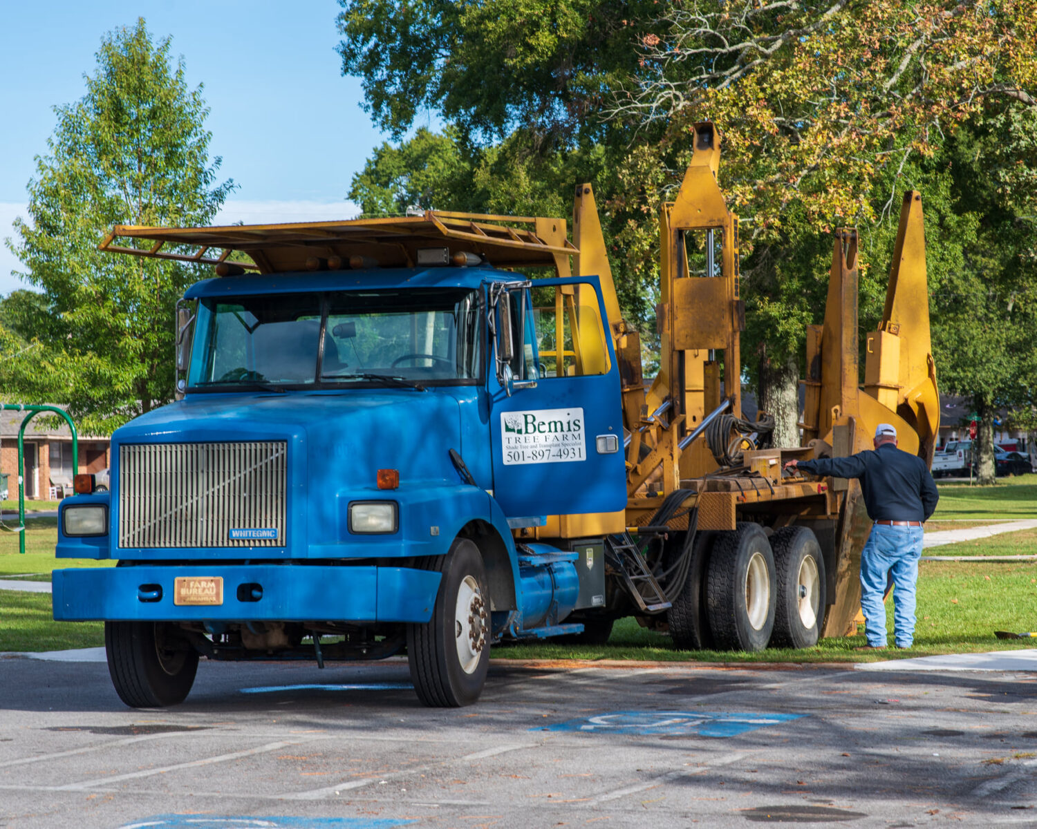 Trees & Shrubs for Sale in Little Rock, AR at Bemis Tree Farm