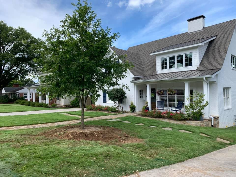 Privacy & Fruit Trees for Sale in Little Rock, AR at Bemis Tree Farm