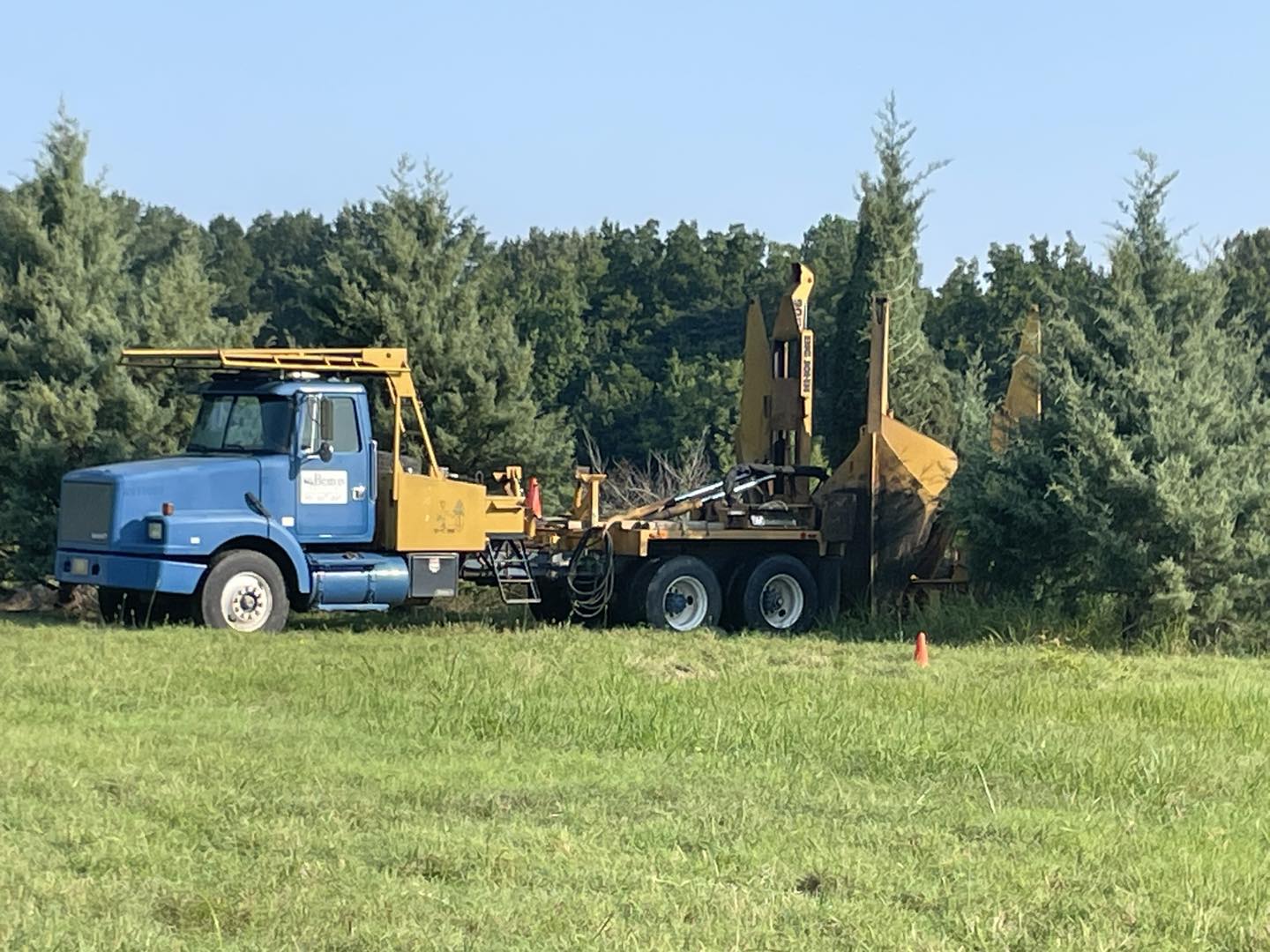 Privacy & Fruit Trees for Sale in Little Rock, AR at Bemis Tree Farm